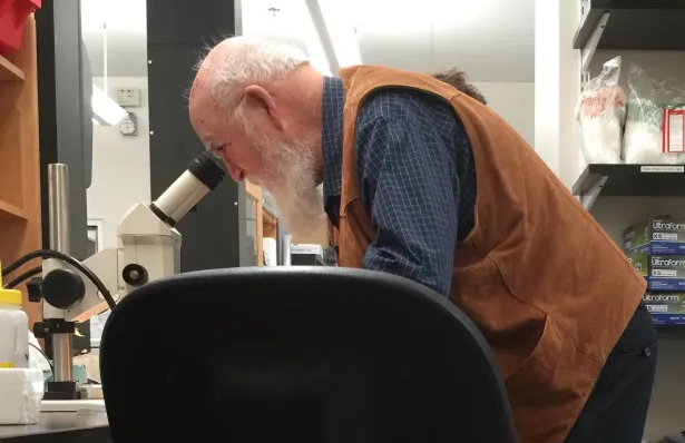 Forms of life, forms of mind | Dr. Michael Levin | Farewell, Dan ...