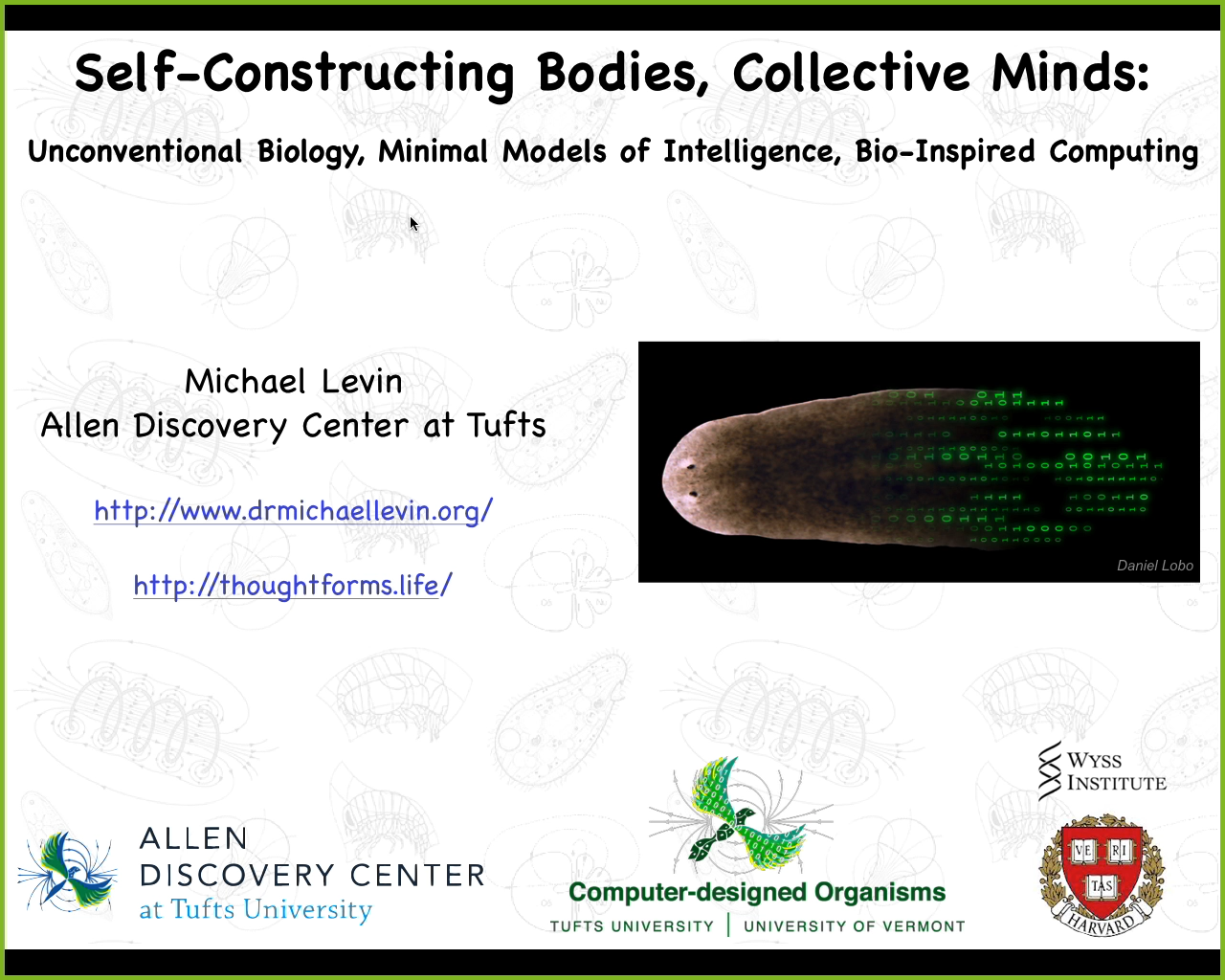 Forms of life, forms of mind | Dr. Michael Levin | A talk on the ...